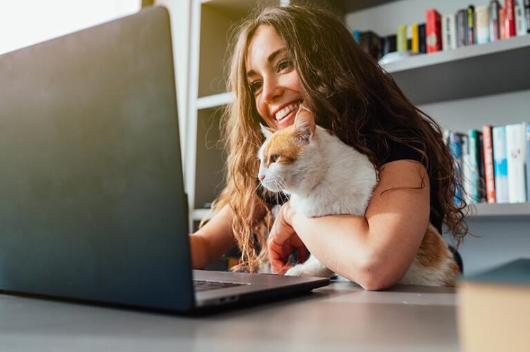 Online Cat Courses and Certification | Animal Wellness Academy