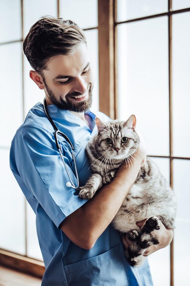 Online Veterinary Courses & Certification | Animal Wellness Academy