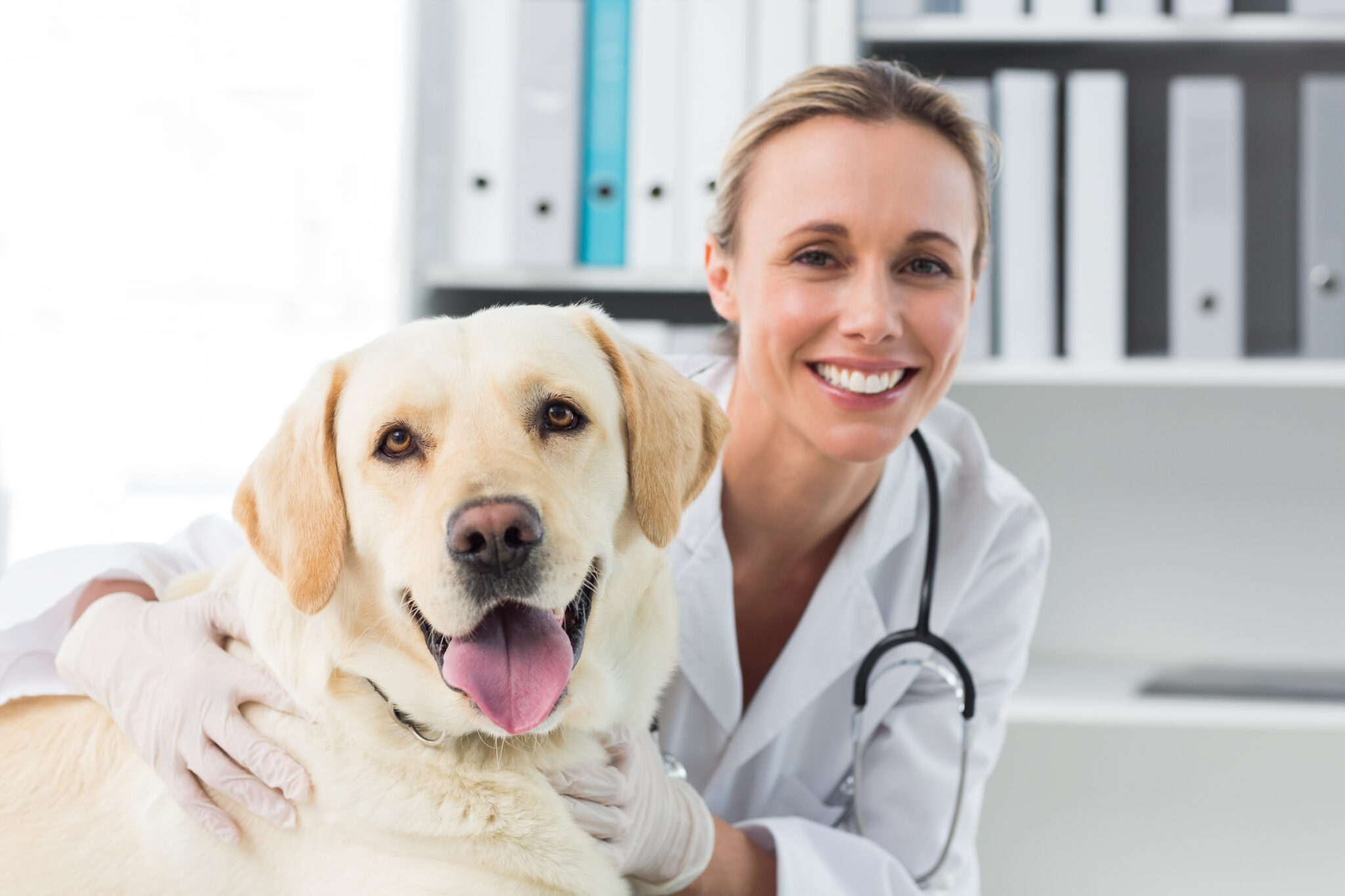 Boost Your Credibility with Recognized Pet Wellness Certifications ...